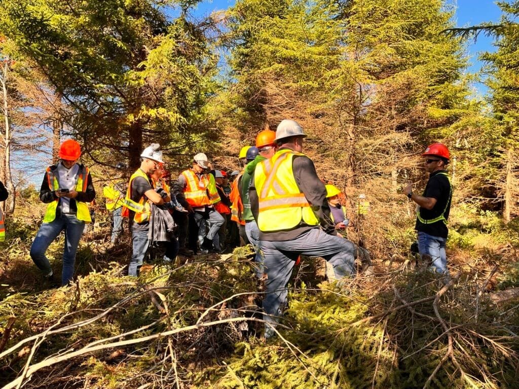 Canadian Woodlands Forum – Keeping members of the forest industry ...